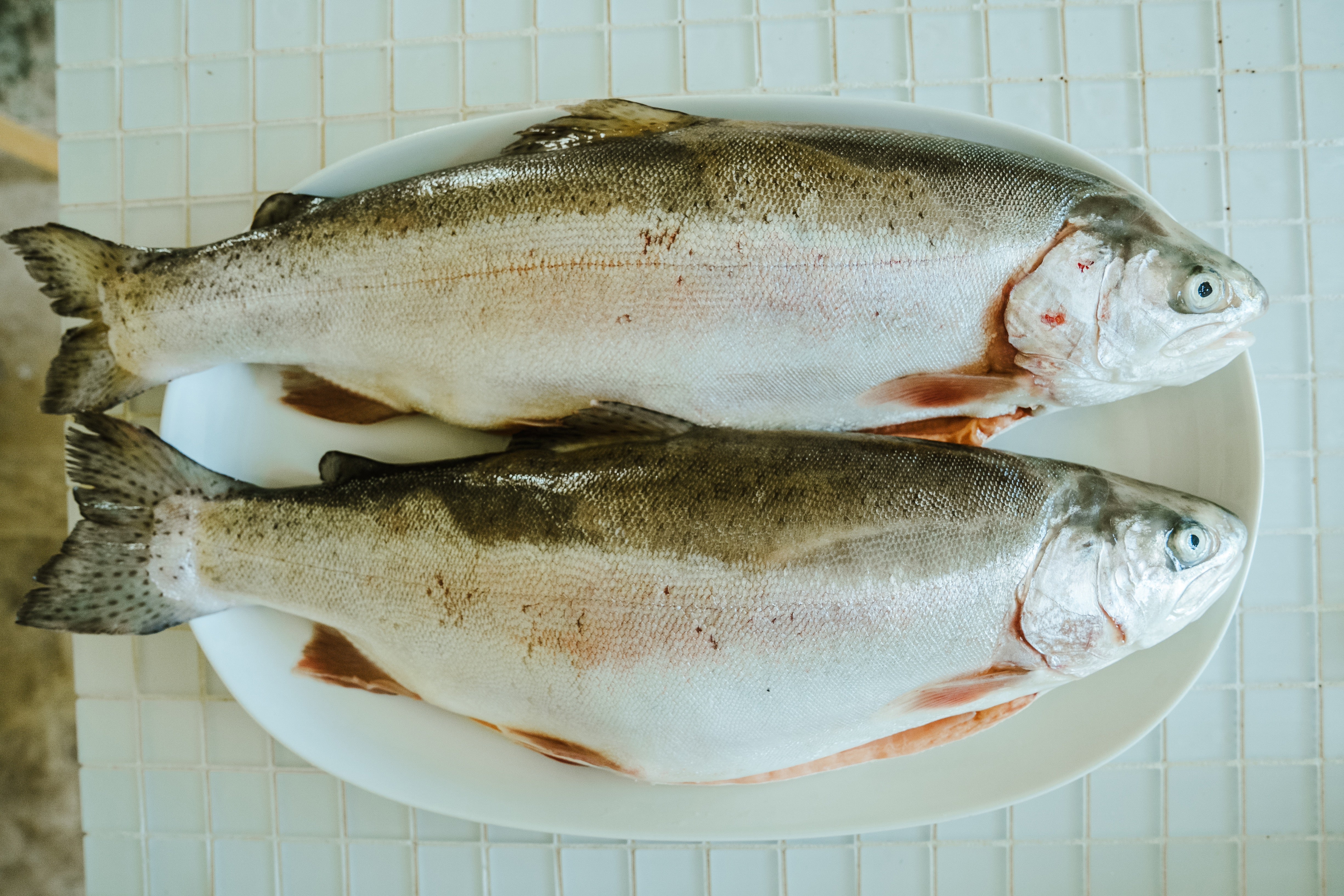 Pan Fry - Whole 1lb Steelhead – Hudson Valley Fisheries